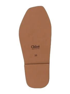 Chloé Two-tone Minimalist Slide Sandals - Brown