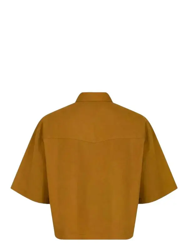 Pinko Short-sleeved Cropped Shirt - Brown