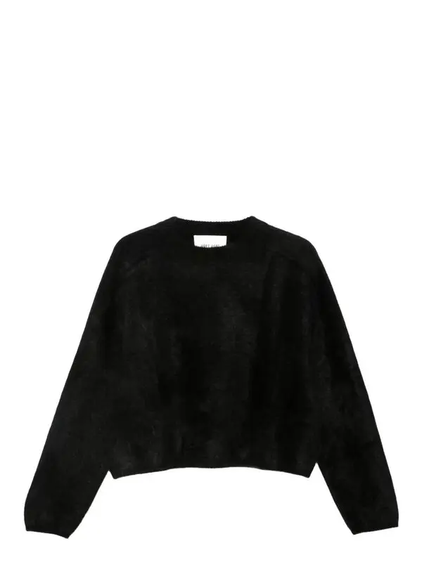 Soft Goat Fuzzy-knit Sweater - Black
