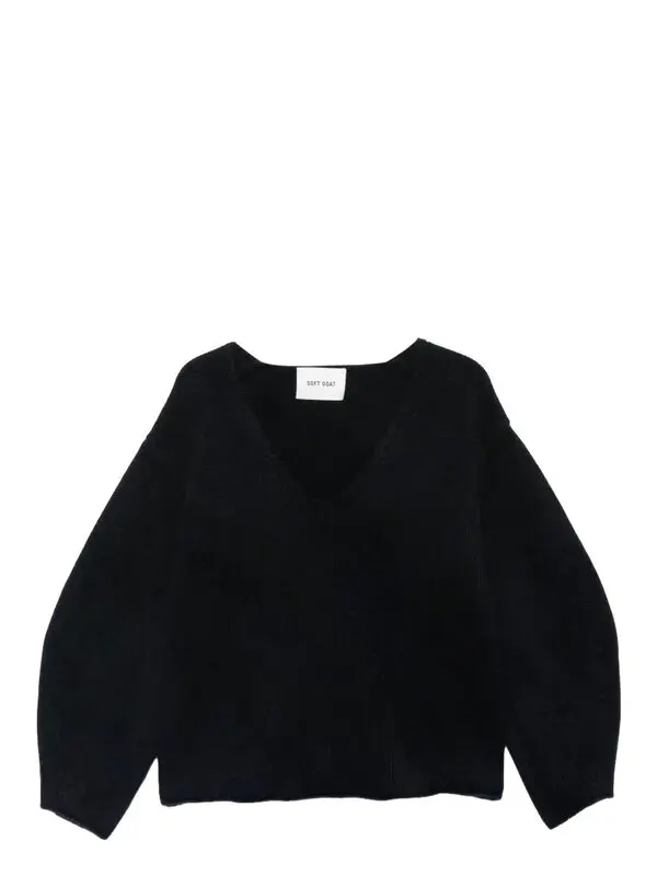 Soft Goat V-neck Raglan-sleeve Sweater - Blue