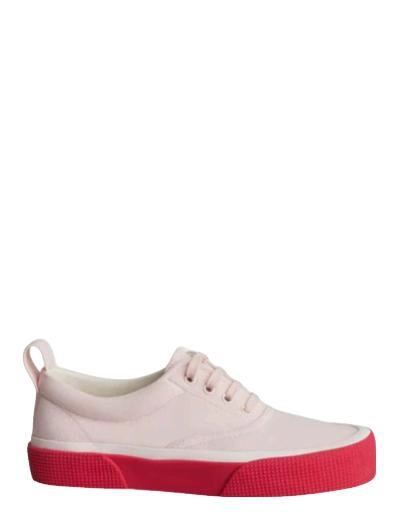 Phoebe Philo Round-toe Lace-up Casual Sneakers - Nude