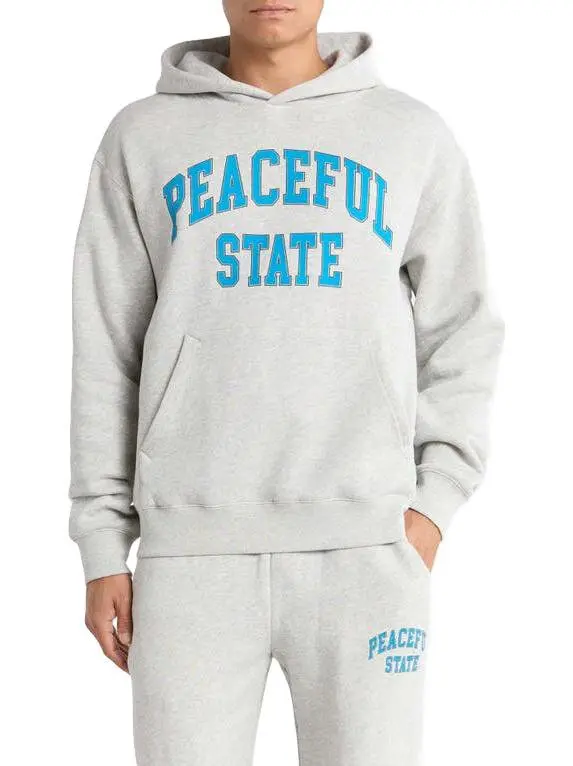 MUSEUM OF PEACE & QUIET Peaceful State Hoodie - Ash