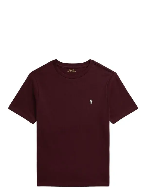 Polo Ralph Lauren Crewneck Logo T-shirt - Brown