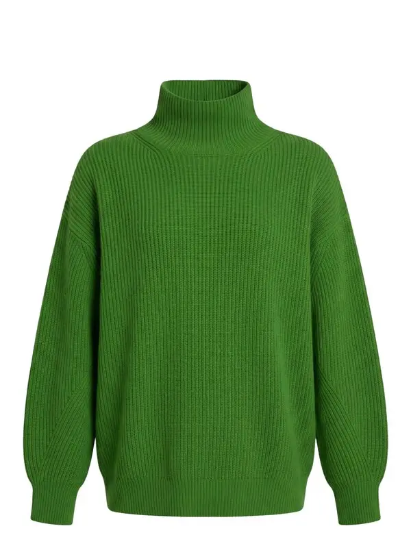 Sportmax Thickened Turtleneck Knit Sweater - Green