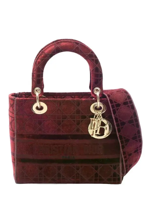 Dior Embroidered Velvet Cannage Lady D Lite Satchel - Red