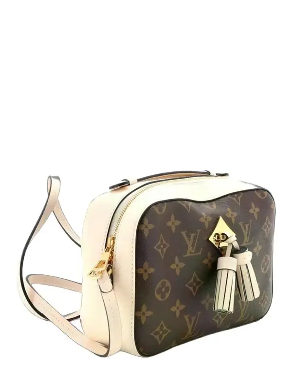 LOUIS VUITTON Saintonge Handbag Monogram Canvas With Leather Crossbody Bag - Neutrals
