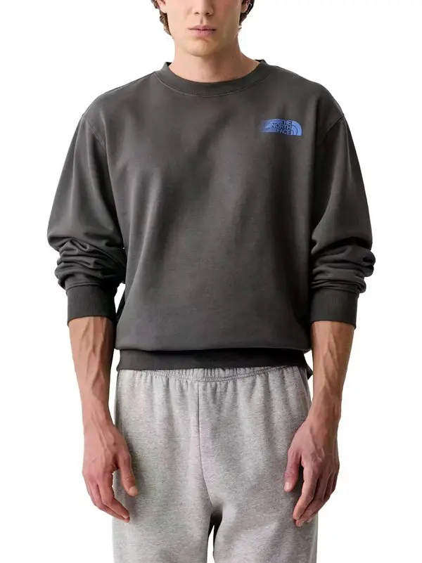 The North Face Logo Print Crewneck Sweatshirt - Grey