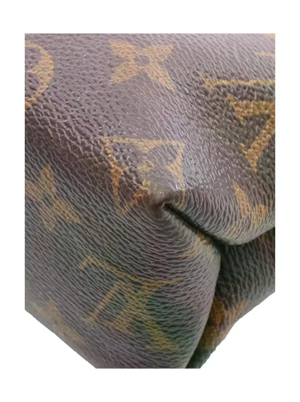 LOUIS VUITTON 2019 Monogram Saint Placide Crossbody Bag - Brown
