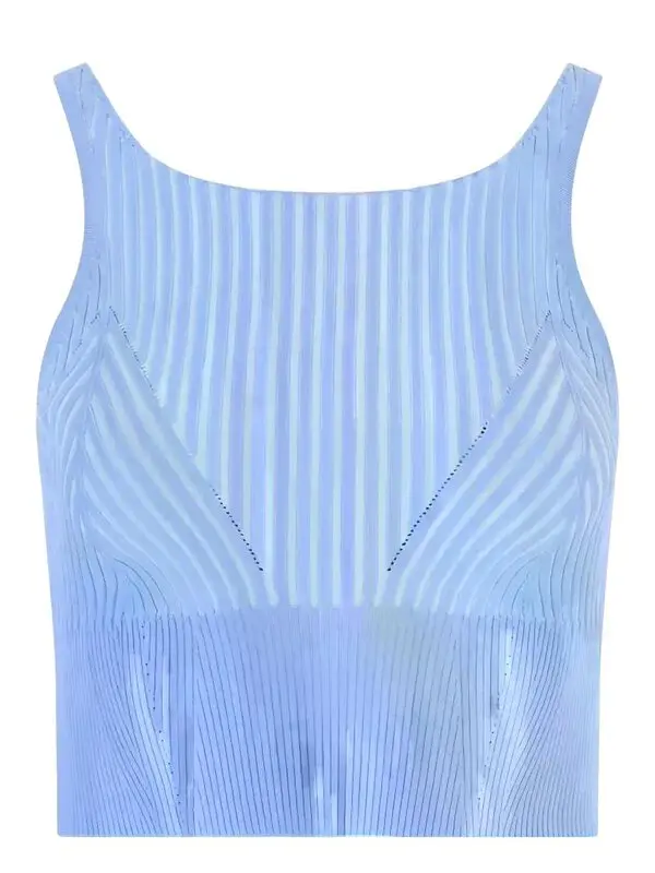 Iceberg Ribbed Knit Cropped Top - Blue