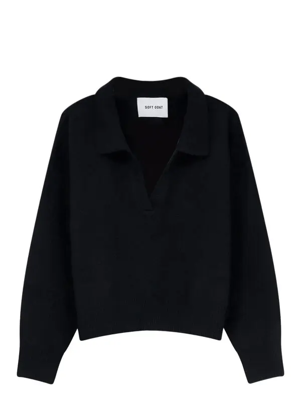 Soft Goat Cashmere V-neck Sweater - Black
