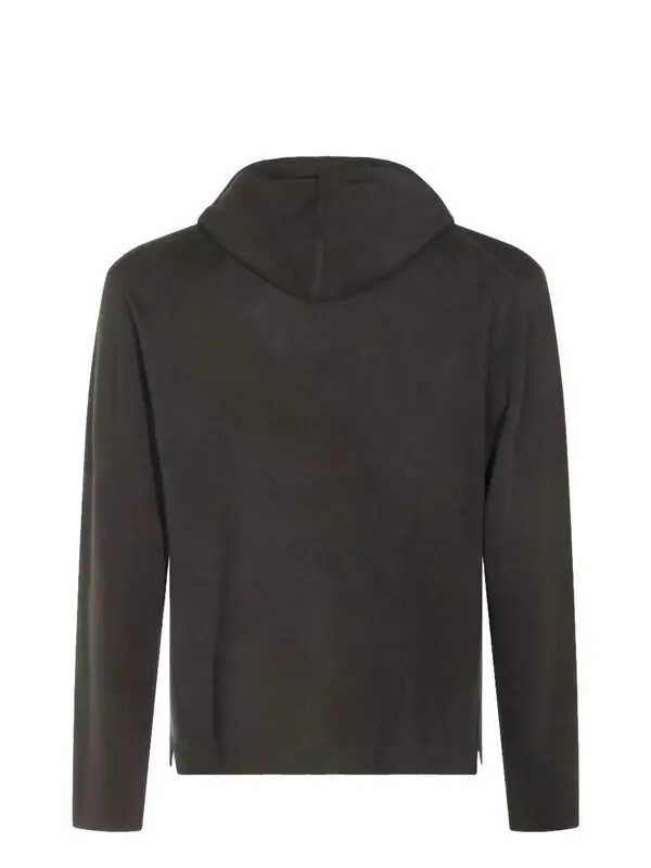 LISA YANG Cashmere Hoodie - Brown