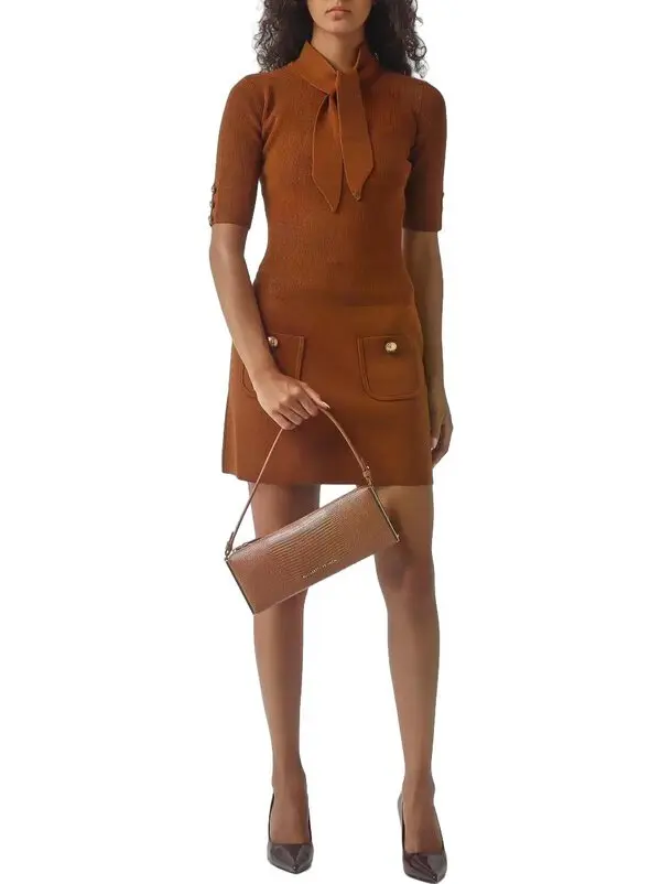 Elisabetta Franchi Knit Mini Dress With Jewel Buttons - Brown