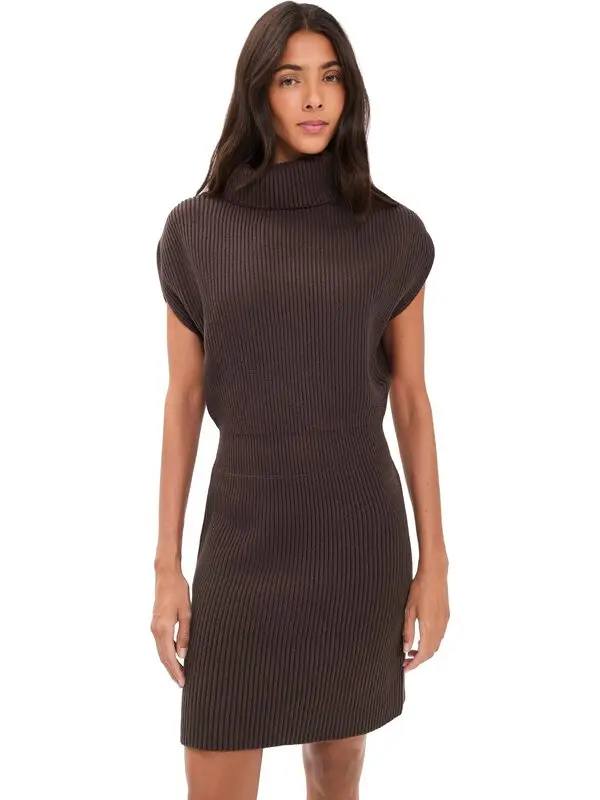 Splendid Marigold Mini Sweater Dress - Java