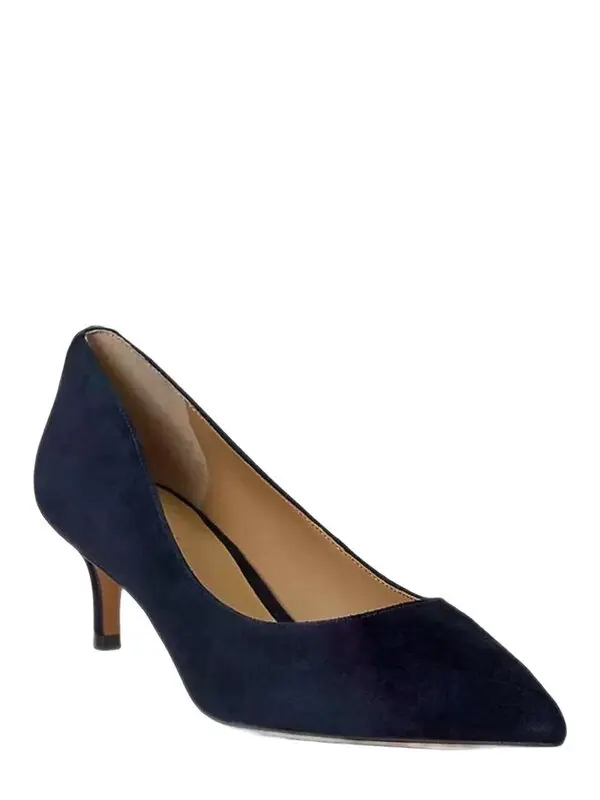 Ralph Lauren Adrienne Pointed-toe Pumps - Blue