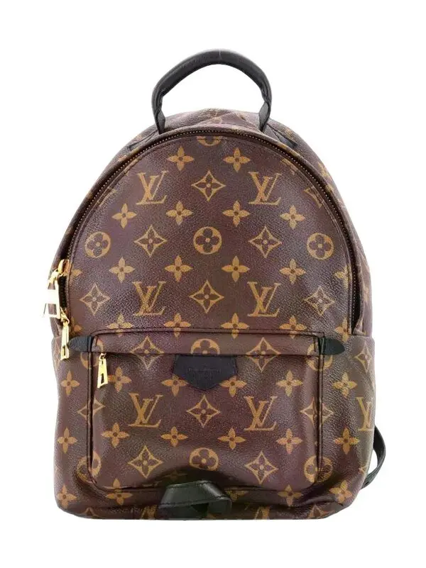 LOUIS VUITTON Palm Springs Monogram Canvas Pm Backpack - Brown