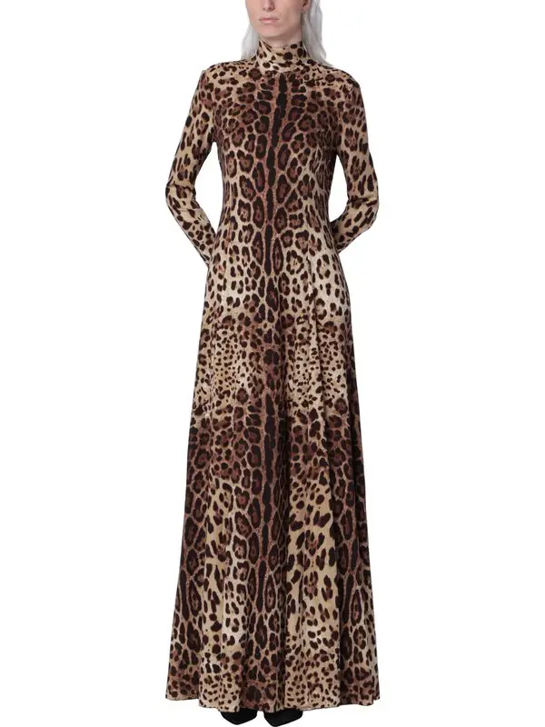 Dolce & Gabbana Long Leopard-print Silk Blend Dress - Brown