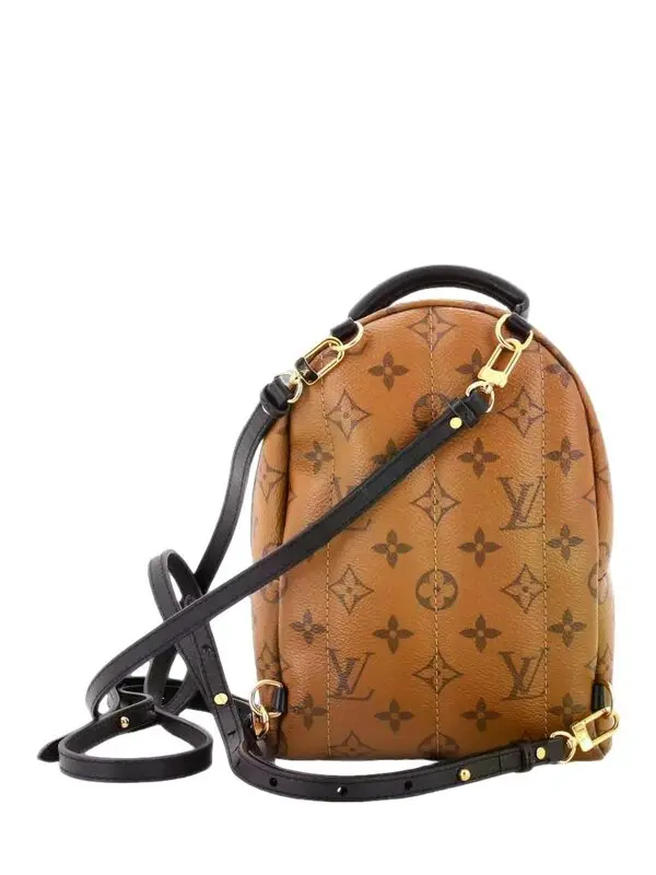 LOUIS VUITTON Palm Springs Mini Backpack - Brown