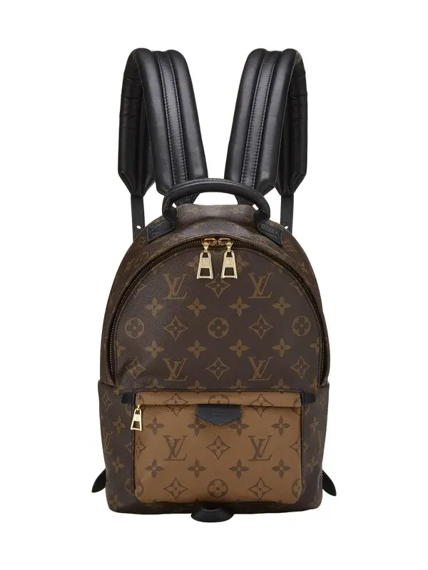LOUIS VUITTON Monogram Reversed Canvas Palm Springs Backpack - Brown
