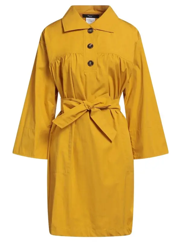 Max Mara Long Sleeve Belted Shirt Dress - Gold