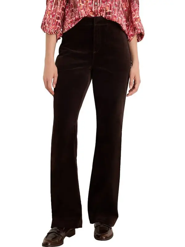 NIC+ZOE Berkeley Stretch Velvet Bootcut Pants - Java