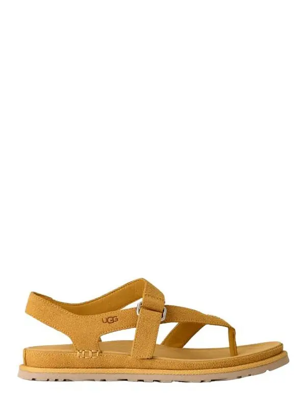 UGG Golden Gaze Toe Post Suede Sandals - Wheat Field