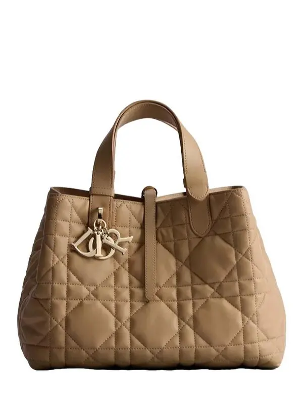 Dior Medium Toujours Bag - No