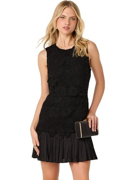 Astr The Label Berklee Lace Bodice Mini Dress - Black