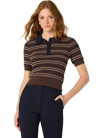 Astr The Label Iris Striped Polo Sweater - Brown Navy Stripe