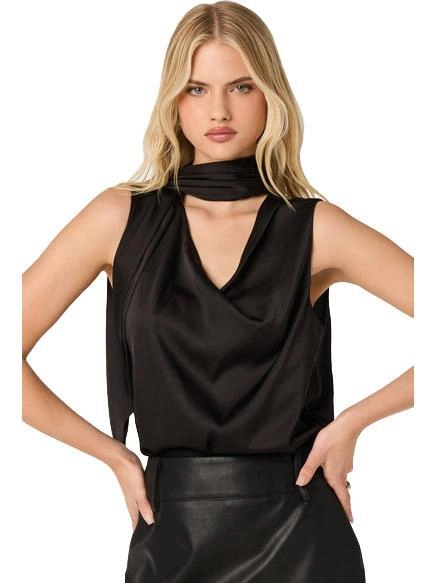 Astr The Label Sasha Cowl Neck Scarf Top - Black