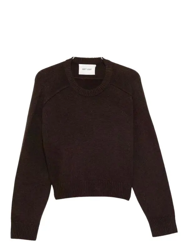 Soft Goat Cropped Cashmere Sweater - Brown