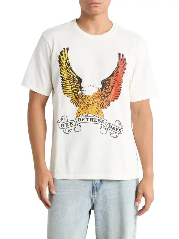 ONE OF THESE DAYS An American Original Graphic T-shirt - Bone