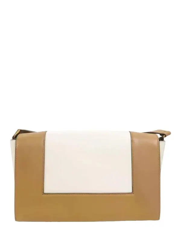 Celine Frame Leather Shoulder Bag - Neutrals