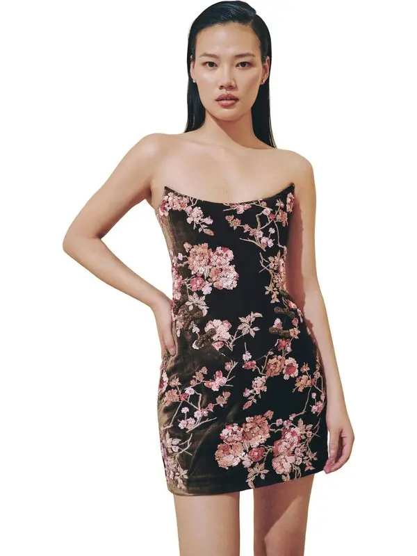 SAU LEE Anna Embroidered Mini Dress - Brown Multi