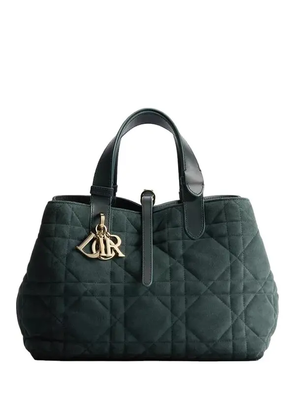 Dior Medium Toujours Bag - Polar Tree
