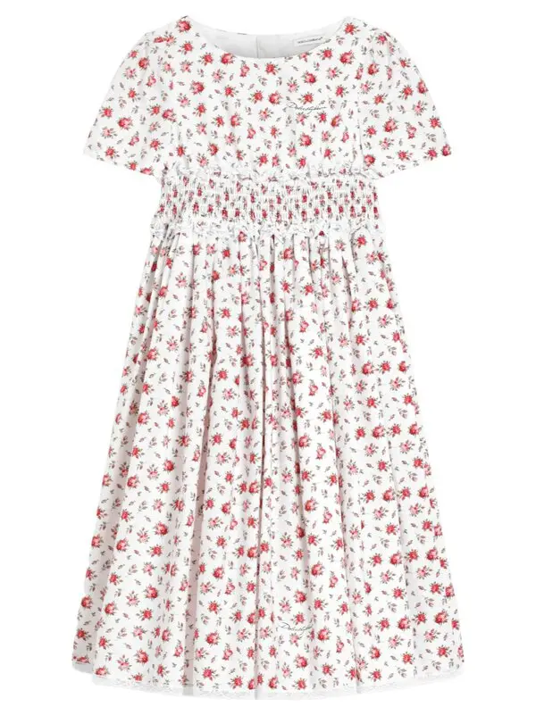 Dolce & Gabbana Floral-print Dress - Multicolor