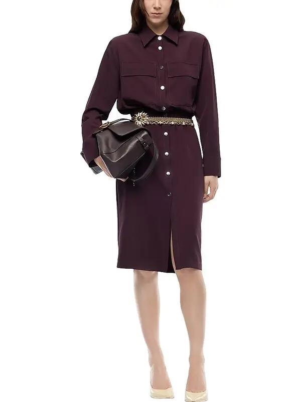 Pinko Arum Long Sleeve Shirtdress - Dark Bordeaux