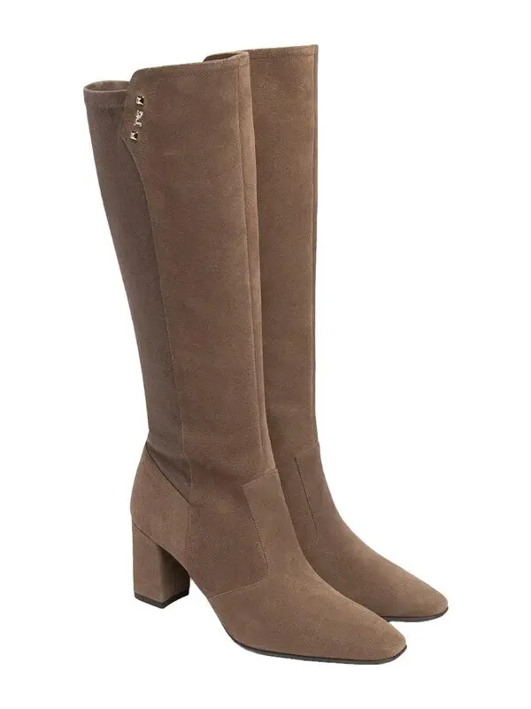 NEROGIARDINI Pointed Toe Stretch Knee High Boot - Bark