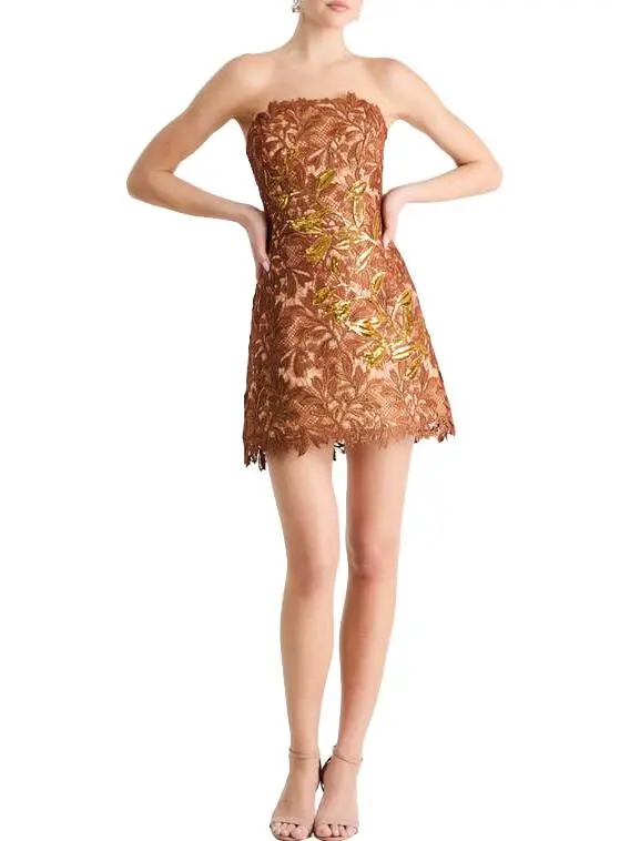 HELSI Cleo Embroidered Strapless Minidress - Copper