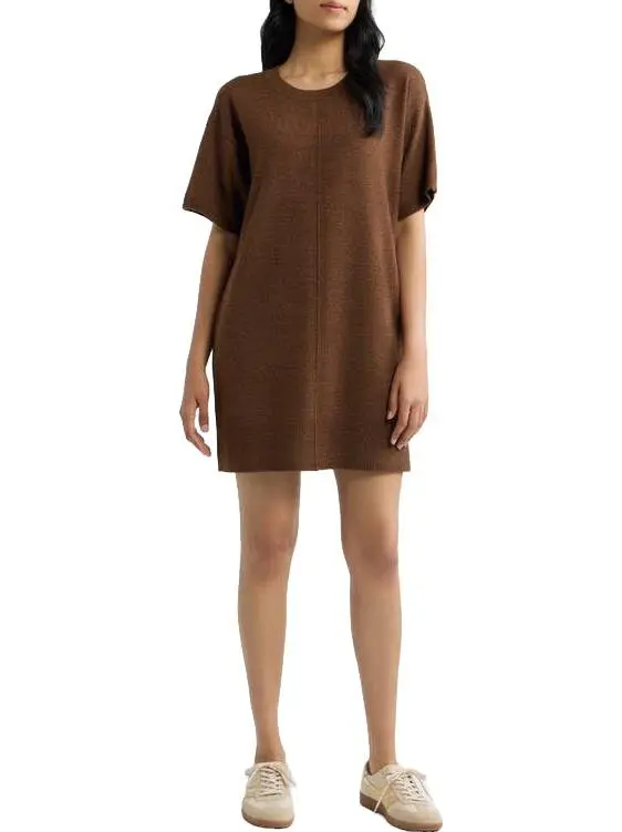 CITY BLUES Crewneck Sweater Dress - Brown