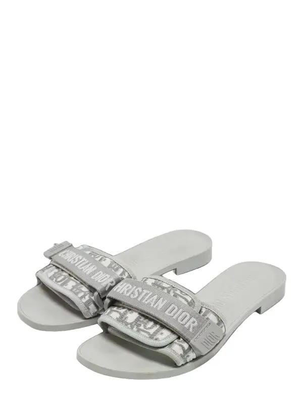 Dior Diorevolution Oblique Slides - Grey