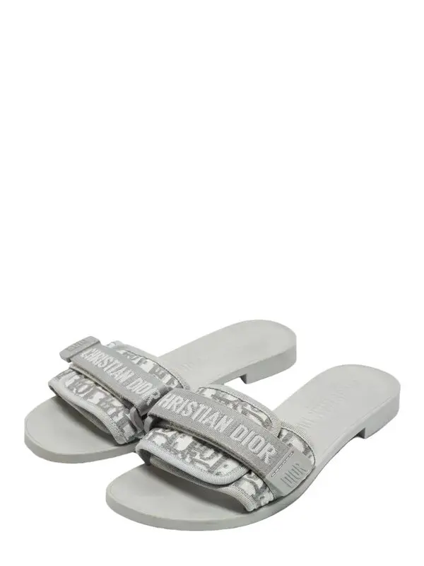 Dior Diorevolution Oblique Slides - Grey