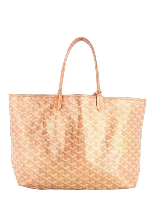 Goyard Saint Louis Precious Metals Coated Canvas Pm Tote Bag - Brown