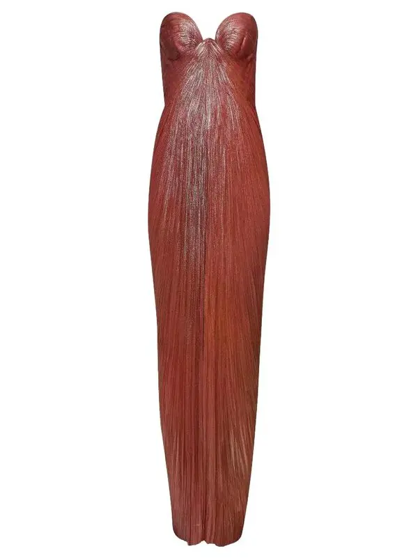 MARIA LUCIA HOHAN Pleated Lace-up Maxi Dress - Brown