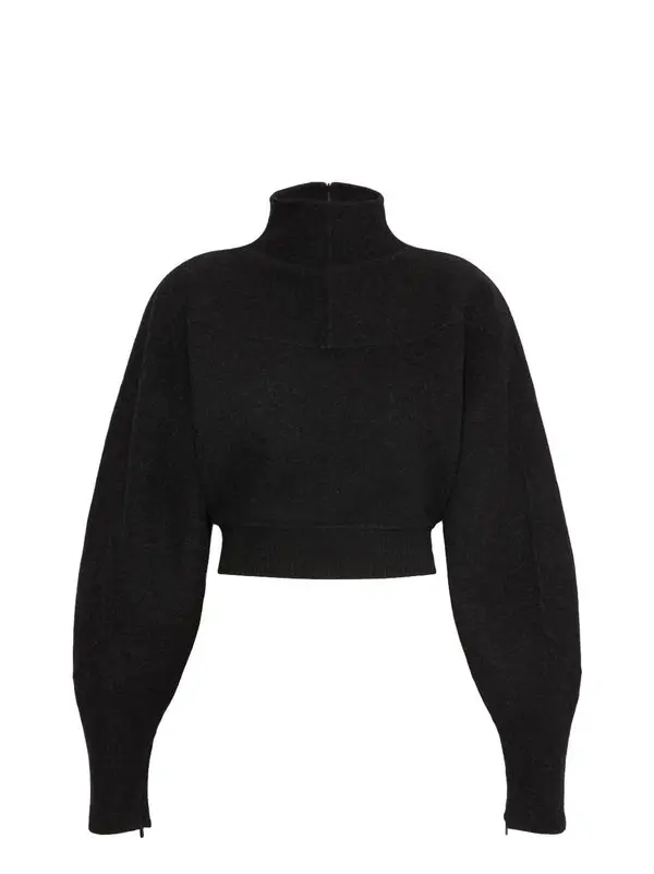 Max Mara Cropped Wool And Cashmere Jersey Sweatshirt - Dark Grey