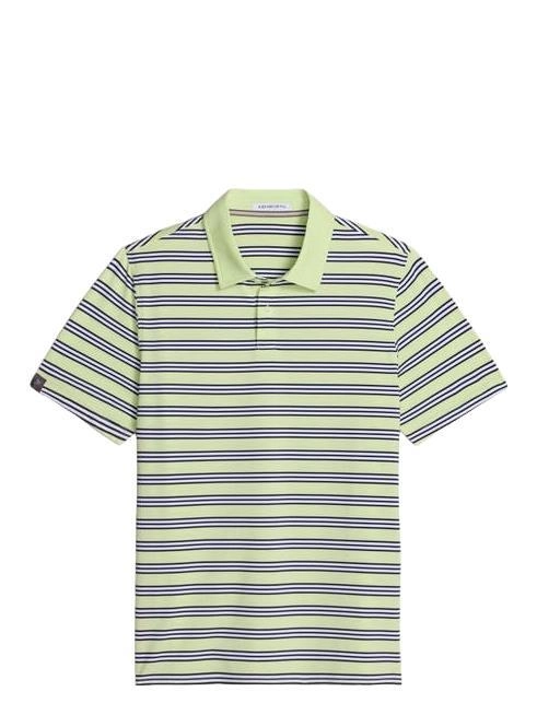 ASHWORTH GOLF Classic Stripe Polo - Lime Multi