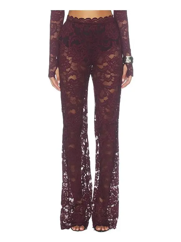 NOOKIE Delphine Lace Pants In Burgundy - Wine