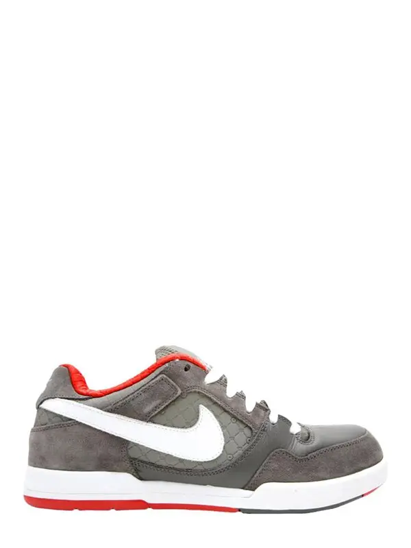 Nike Paul Rodriguez 2 Zoom Air 'pigeon - Grey