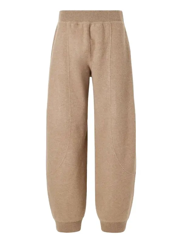 Max Mara Cesto Paneled Wool-blend Tapered Pants - Beige