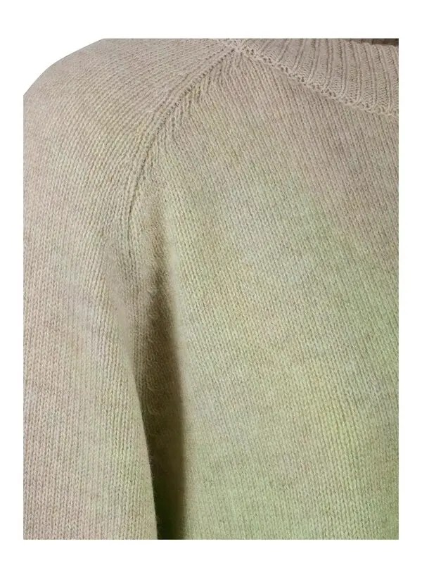 ANAII Raglan-sleeve Knitted Sweater - Brown