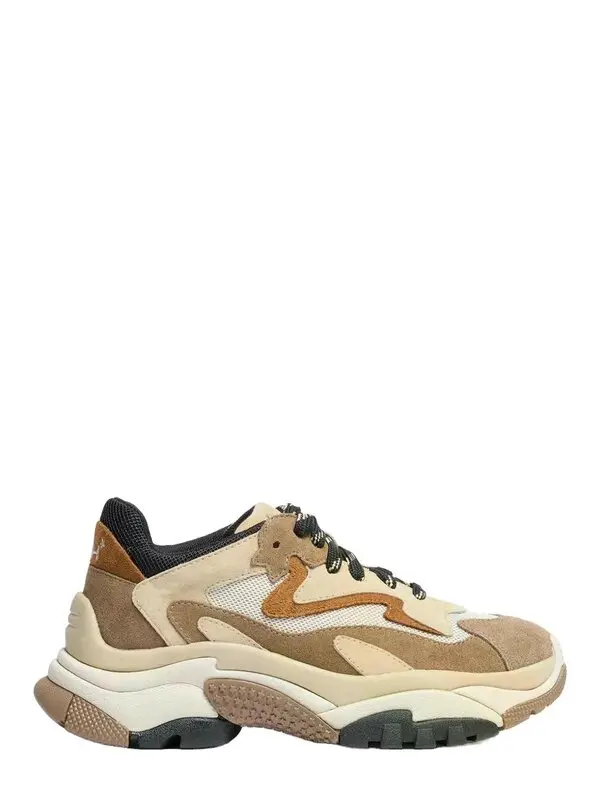 Ash Addict Low-top Sneakers - Neutrals